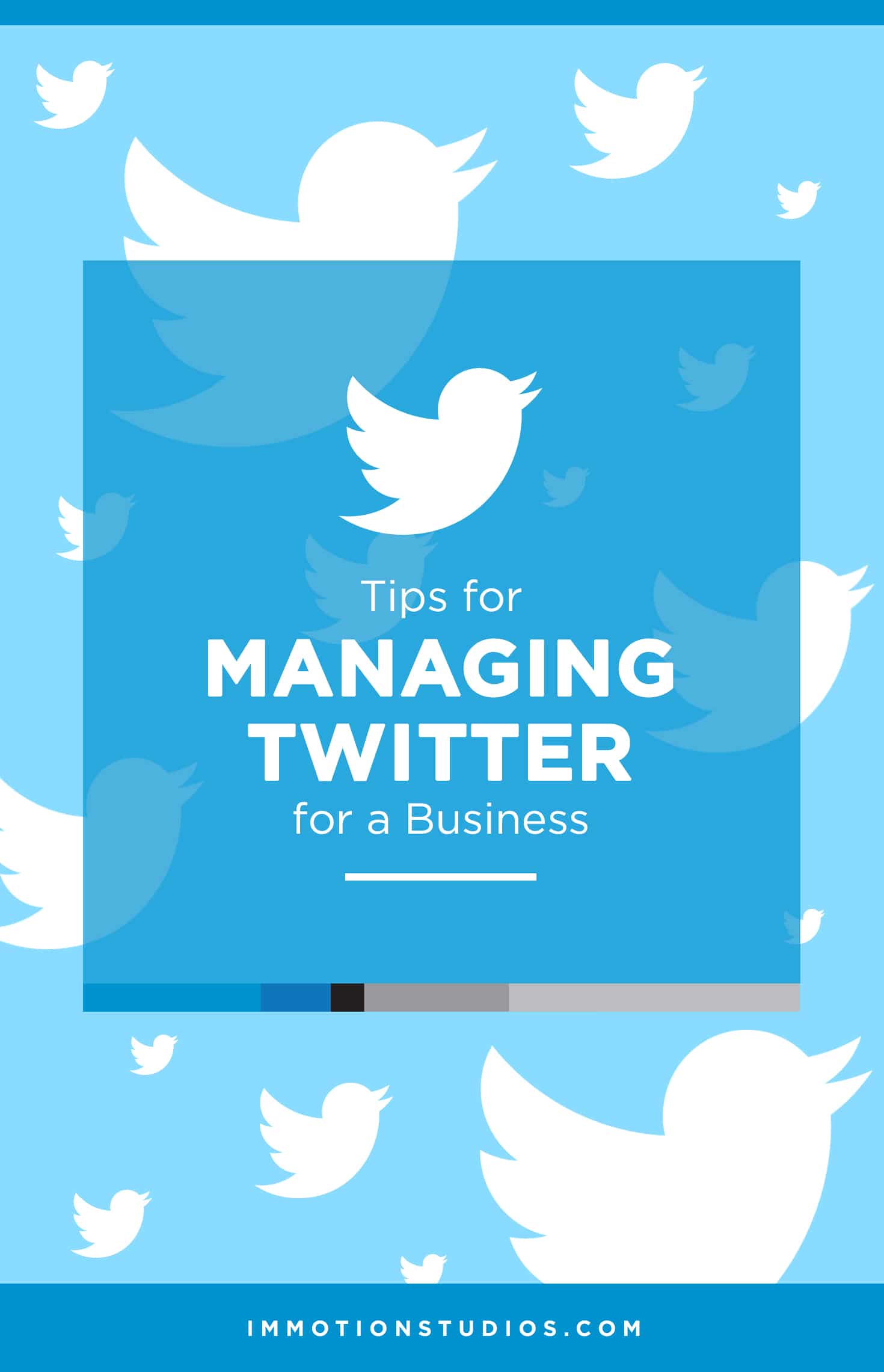 Tips for Successfully Managing Twitter for a Business - Immotion Studios